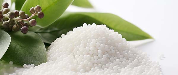 Comment choisir de l'homéopathie pour des problèmes ORL